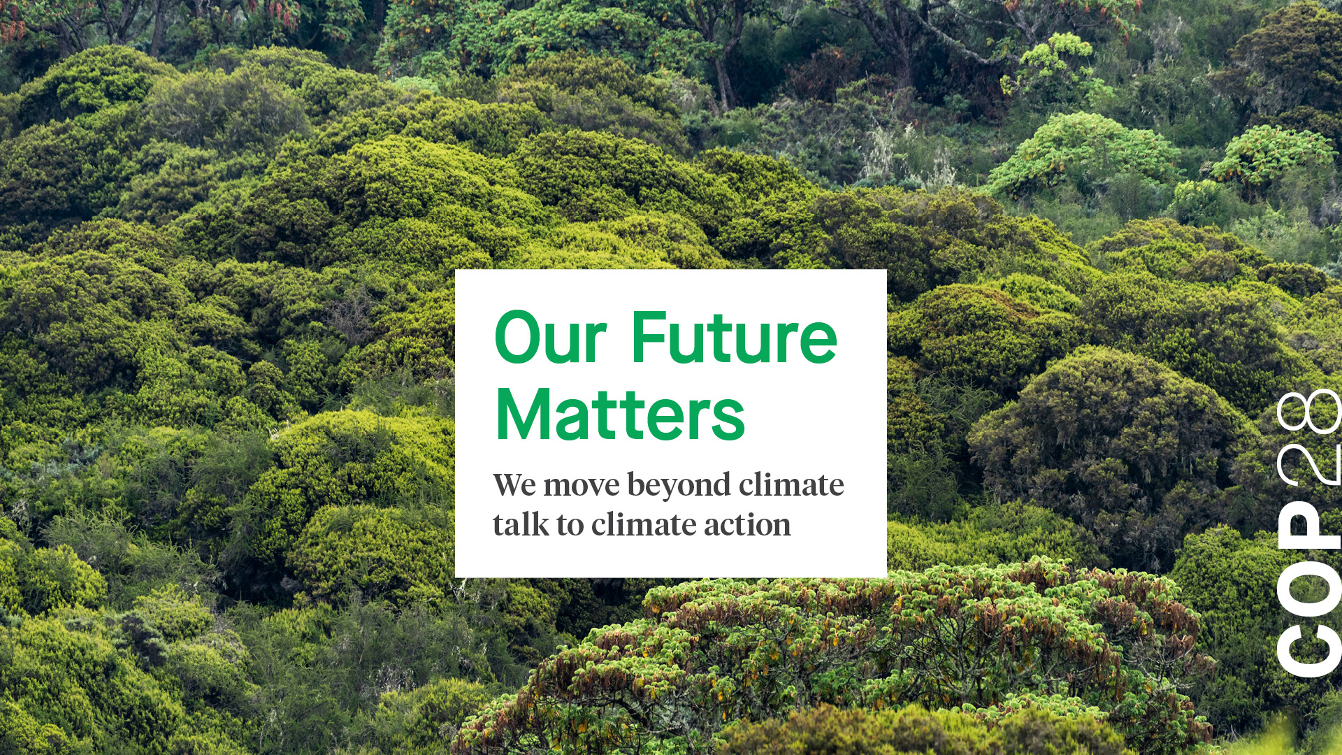 Space Park experts to showcase climate change research at COP28